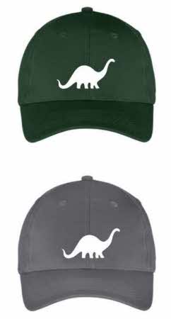 Sinclair Hats & Beanies